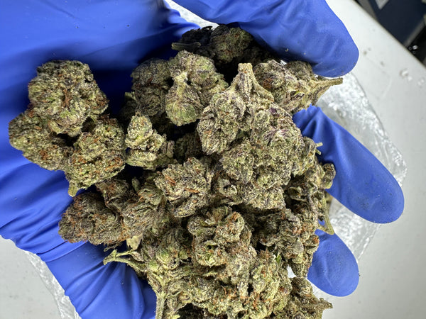 Mango Sticky Rice indoor mediums – Revive