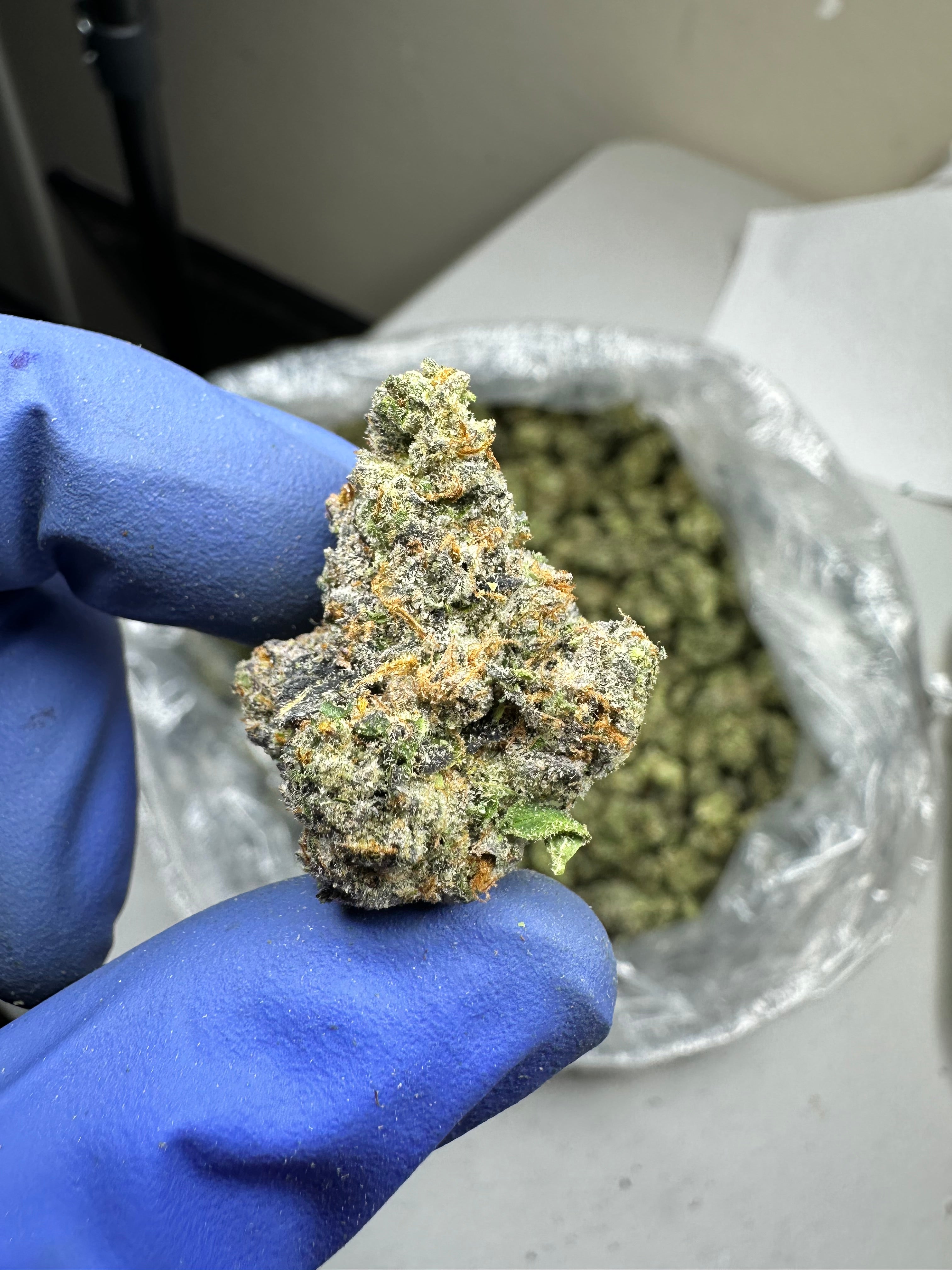 Pineapple Express exotic – Revive